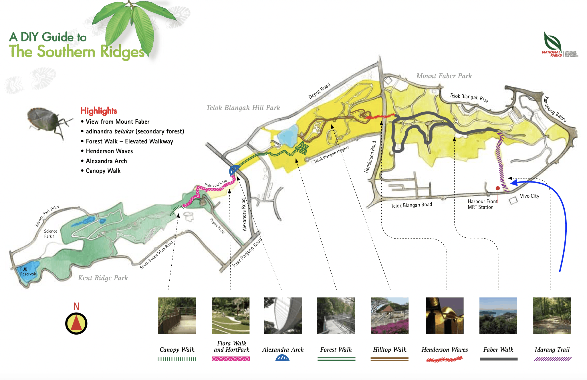 Marang Trail To HortPark. A Scenic 4km Walk.